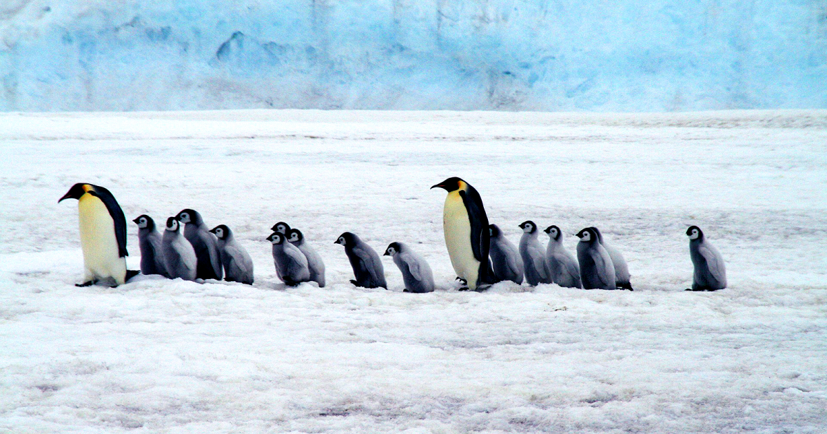 Linux Text Processing And Filtering 0842